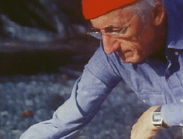 Jacques cousteau GIFs - Obtenez le meilleur gif sur GIFER