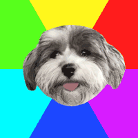 Yippee GIFs - Get the best gif on GIFER