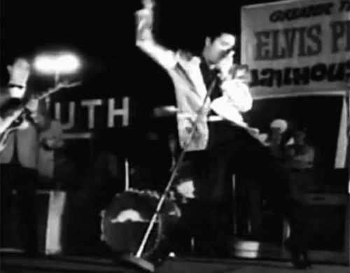 Elvis the pelvis GIF - Conseguir o melhor gif em GIFER