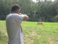 Musket GIFs - Get the best gif on GIFER