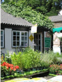 Botanica GIFs - Get the best gif on GIFER
