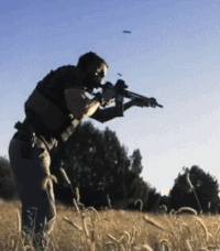 Pew GIFs - Get the best gif on GIFER