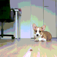 Crawling GIFs - Get the best gif on GIFER