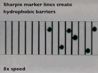 Alignment GIFs - Get the best gif on GIFER