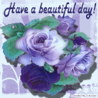 Carnation GIFs - Get the best gif on GIFER