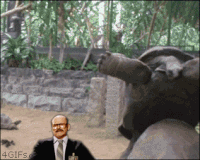 Nooooooo GIFs - Get the best gif on GIFER