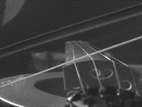 Violon GIFs - Get the best gif on GIFER