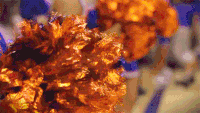 Poms GIFs - Get the best gif on GIFER