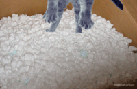 Plop GIFs - Get the best gif on GIFER