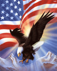 Usa GIFs - Get the best gif on GIFER
