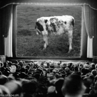 Theater GIFs - Get the best gif on GIFER