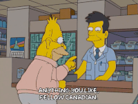 Politeness GIF - Conseguir o melhor gif em GIFER