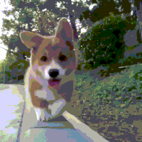 Pavement GIFs - Get the best gif on GIFER