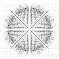 Plexus GIFs - Get the best gif on GIFER