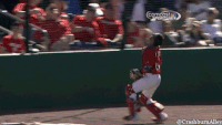 Phillies GIFs - Get the best gif on GIFER