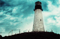 Shutters GIFs - Get the best gif on GIFER