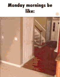 Reveille GIFs - Get the best gif on GIFER