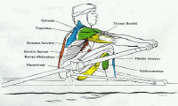 Rowing GIFs - Get the best gif on GIFER