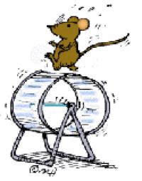 Algoritmo GIFs - Get the best gif on GIFER