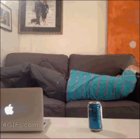 Sofa GIFs - Get the best gif on GIFER