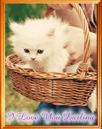 Darling GIFs - Get the best gif on GIFER