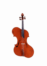 Violon GIFs - Get the best gif on GIFER