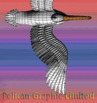 Pelican GIFs - Get the best gif on GIFER