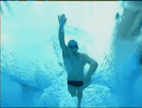 Swim GIFs - Get the best gif on GIFER