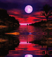 Rio GIFs - Get the best gif on GIFER