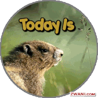 Groundhog GIFs - Get the best gif on GIFER