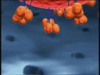 Hiv GIFs - Get the best gif on GIFER