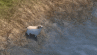 Darn GIFs - Get the best gif on GIFER