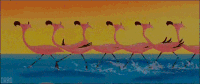 Flamingos GIFs - Get the best gif on GIFER