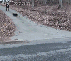 Suitcase GIF - Conseguir el mejor gif en GIFER