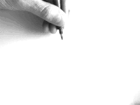 Calligraphy GIFs - Get the best gif on GIFER