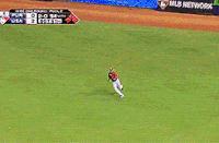 Wbc GIFs - Get the best gif on GIFER
