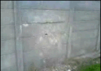 Blocked GIFs - Get the best gif on GIFER