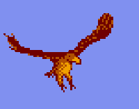 Hawk GIFs - Get the best gif on GIFER