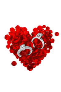 Engagements GIFs - Get the best gif on GIFER