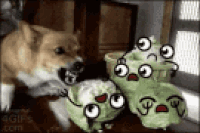 Lettuce GIFs - Get the best gif on GIFER
