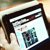 Amuse GIFs - Get the best gif on GIFER