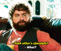 Due GIFs - Get the best gif on GIFER