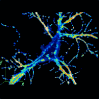 Microscopy GIFs - Get the best gif on GIFER