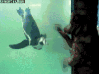 Bonding GIFs - Get the best gif on GIFER