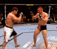 Ufc GIFs - Get the best gif on GIFER