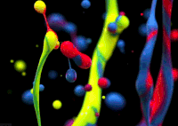 Lava lamp GIFs - Get the best gif on GIFER