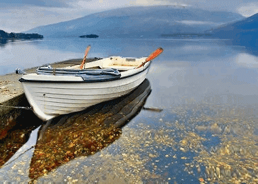 Bote GIFs - Get the best gif on GIFER