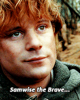 Samwise gamgee GIFs - Get the best gif on GIFER