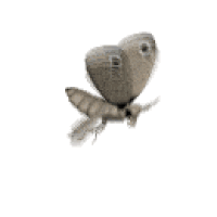 Moths GIFs - Get the best gif on GIFER