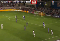 Clutch GIFs - Get the best gif on GIFER